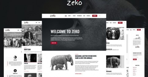 Best WordPress Survey Plugins and Themes of 2017 | Qeryz Blog